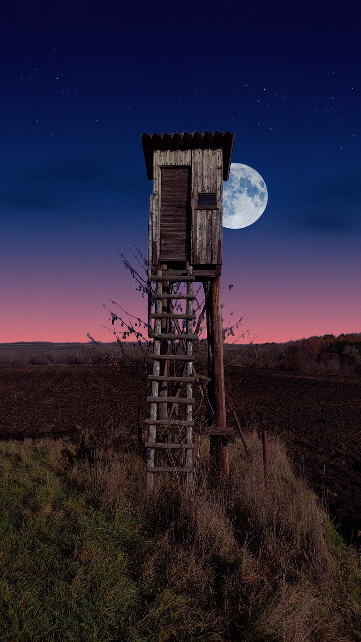 Cazar Alto Standing Luna - Foto gratis en Pixabay - Pixabay Cazar Alto Standing Luna - Foto gratis en Pixabay - Pixabay