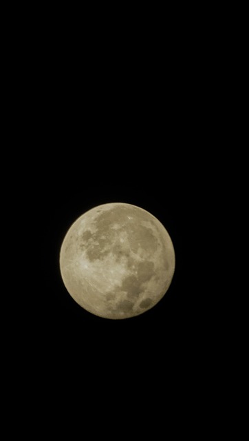Bulan Langit Malam - Free photo on Pixabay