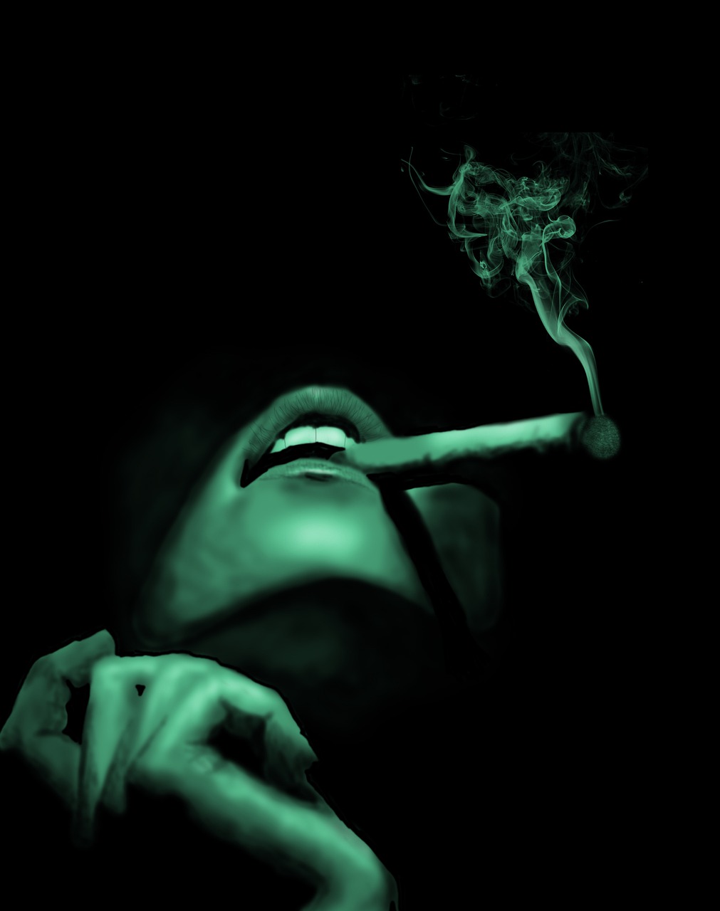 Download Portrait, Cigar, Smoke. Royalty-Free Stock Illustration Image ...