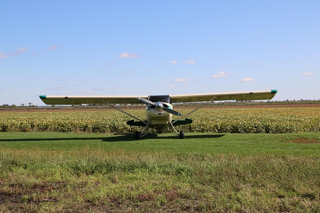 Flugzeug Propeller Feld Kleines - Kostenloses Foto auf Pixabay - Pixabay