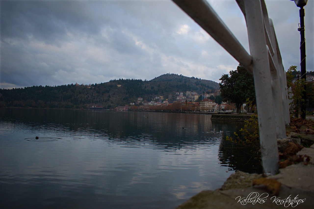 Camurça Lago Norte - Foto gratuita no Pixabay - Pixabay