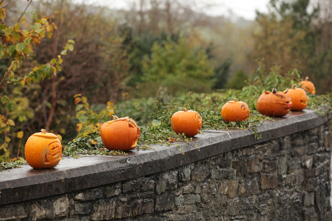 Pumpkins Gourds Decorations - Free photo on Pixabay - Pixabay