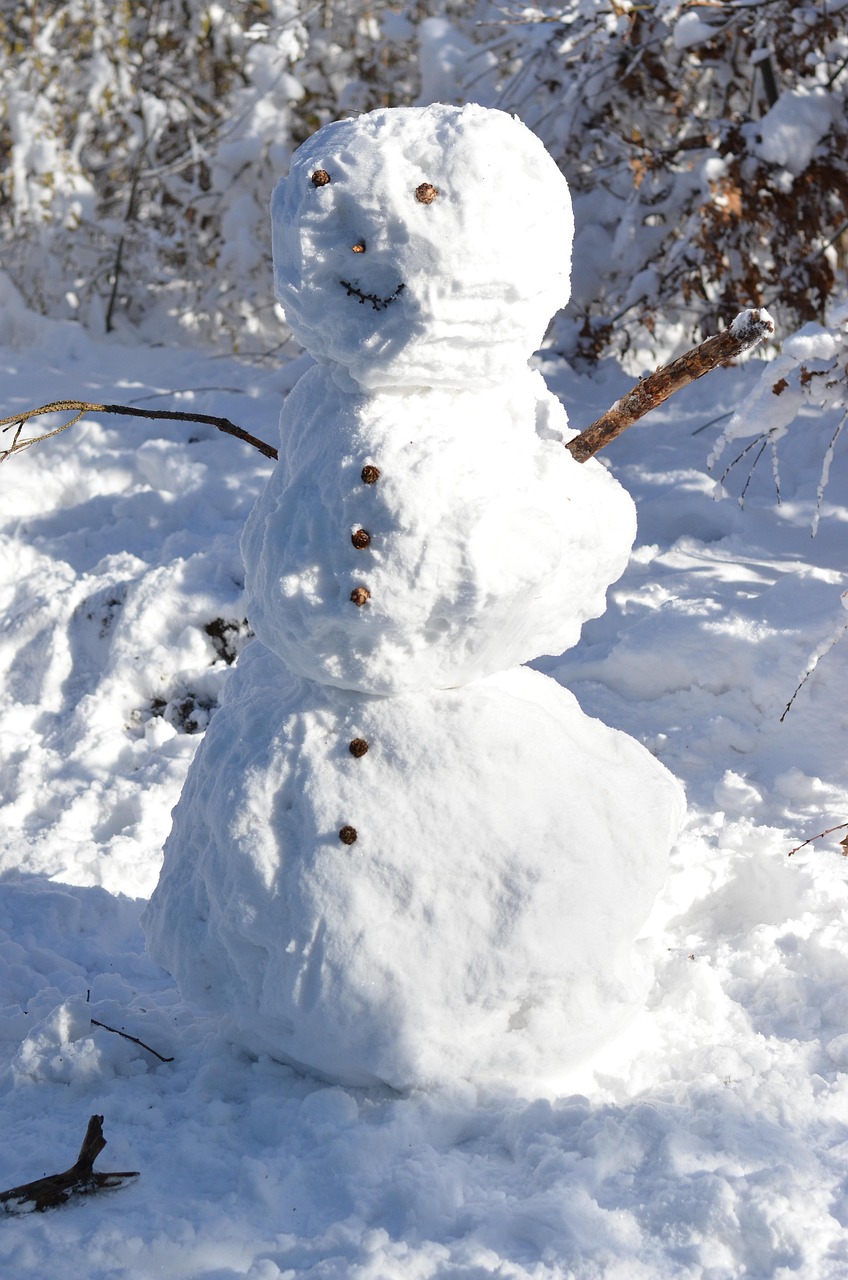 Winter Snow Cold - Free photo on Pixabay - Pixabay