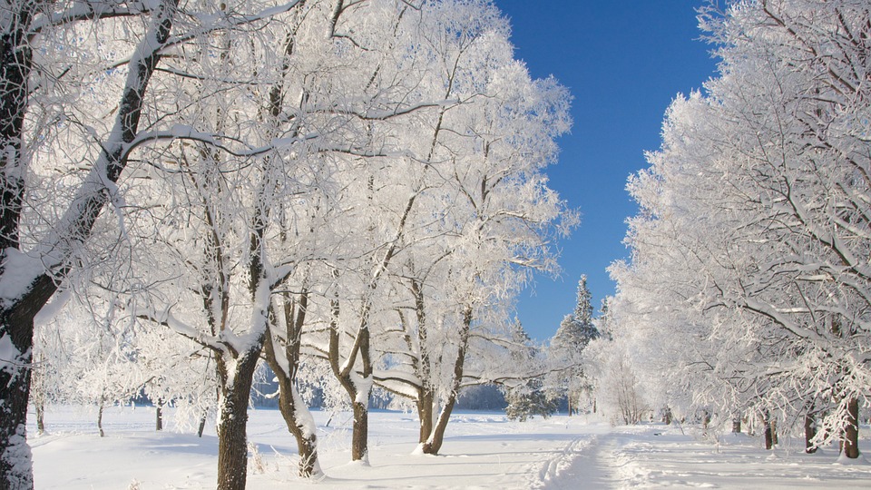 Winter Snow - Free photo on Pixabay
