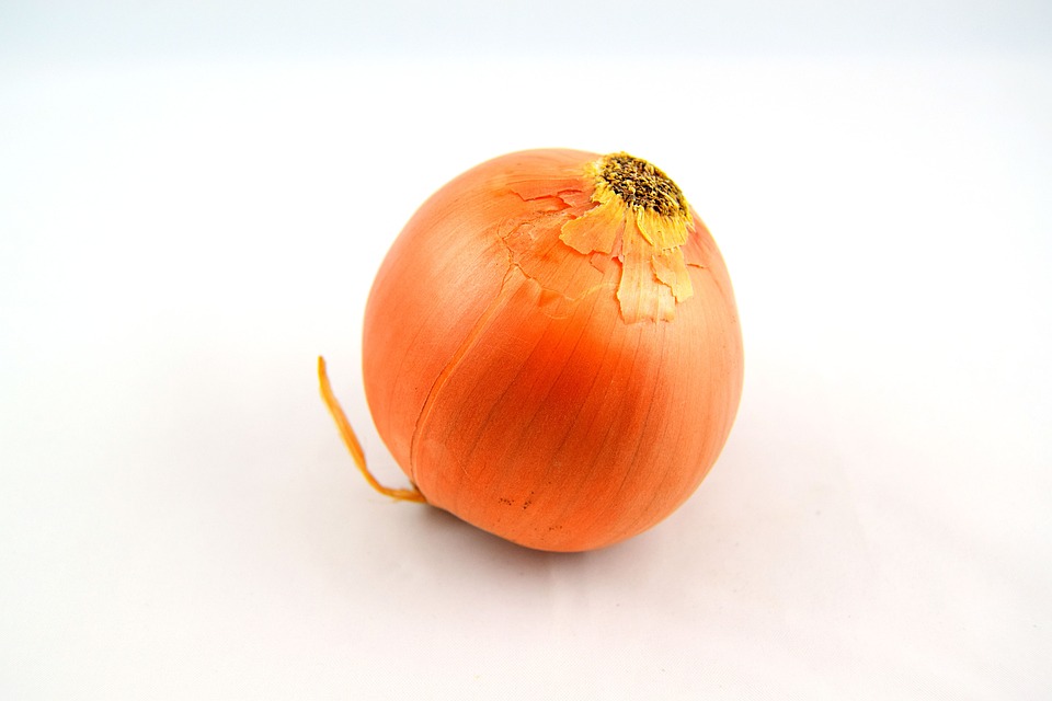 Cebolla Blanca Vegetal - Foto gratis en Pixabay