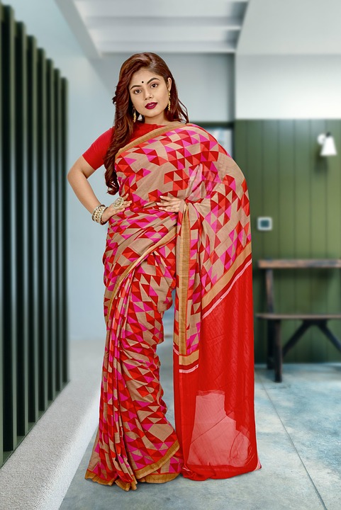 Indian Saree Model In - Free photo on Pixabay - Pixabay