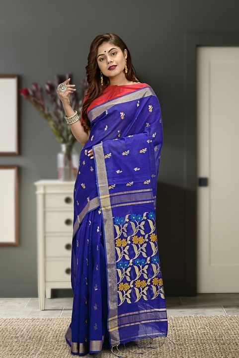 Saree Indiano Modelo - Foto gratuita no Pixabay - Pixabay