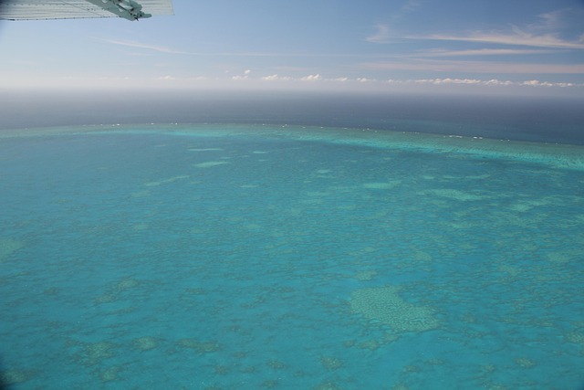 Great Barrier Reef Australia - Foto gratis di Pixabay - Pixabay