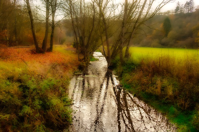 Download Creek, Grass, Meadow. Royalty-Free Stock Illustration Image ...
