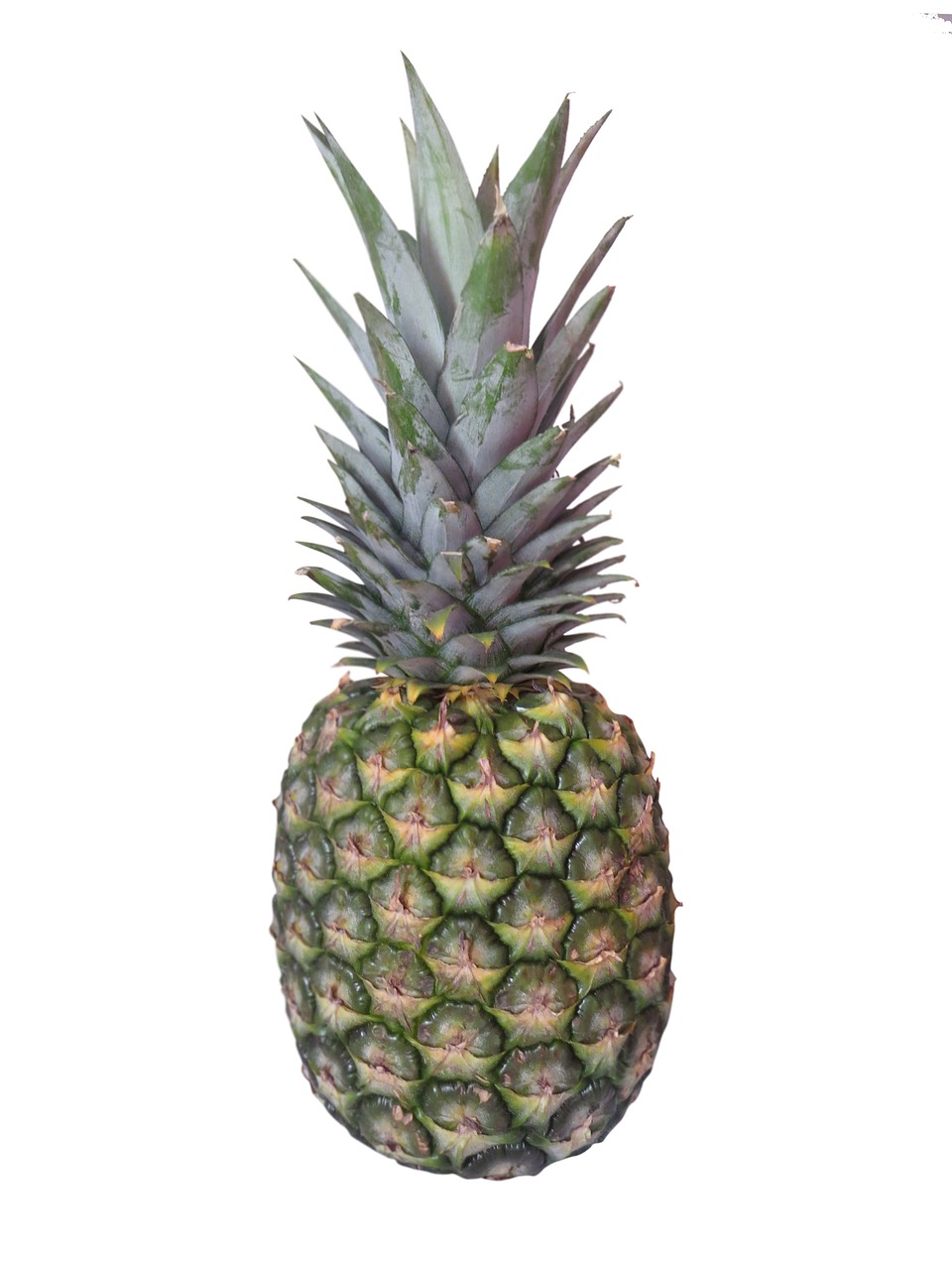 Ananas Fruit - Photo gratuite sur Pixabay
