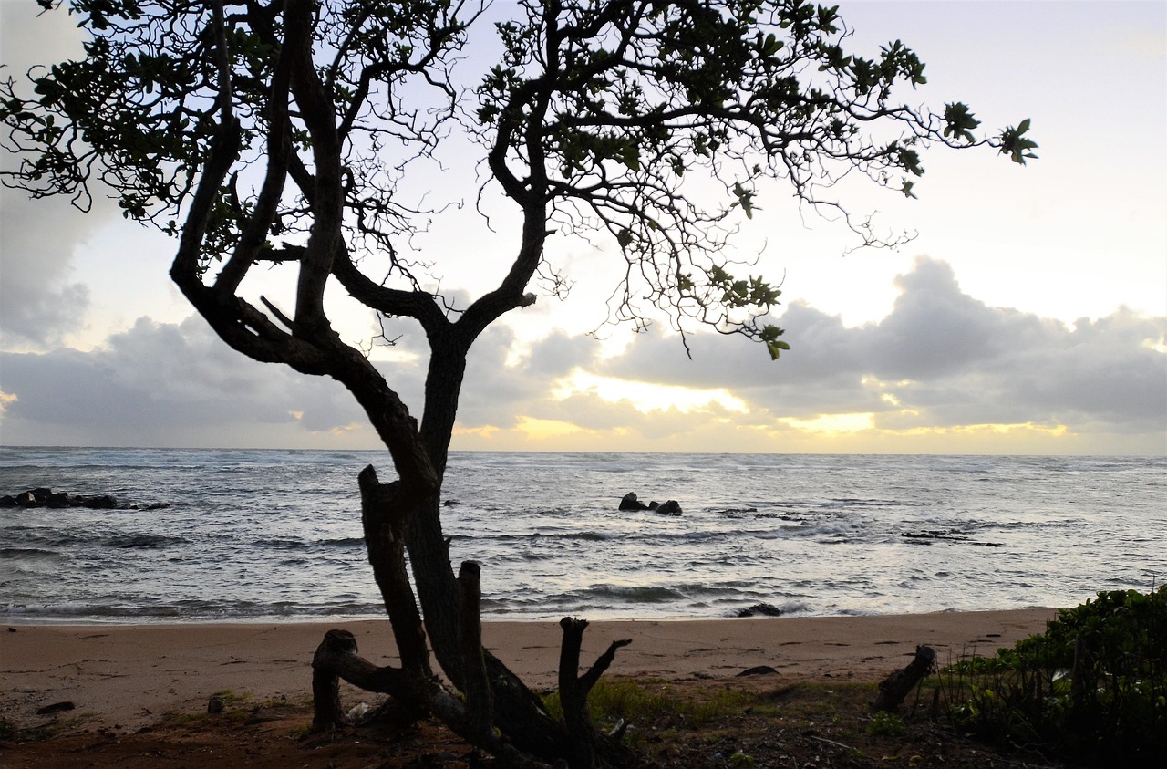 Ocean Solitude Relaxation - Free photo on Pixabay - Pixabay