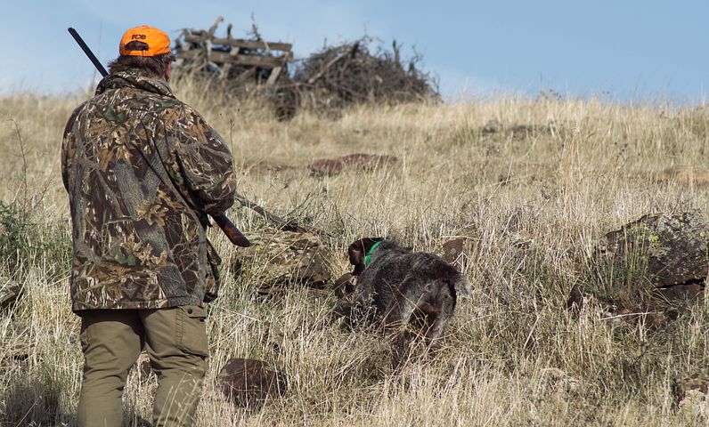 100+ Free Hunting Gun & Hunting Images - Pixabay