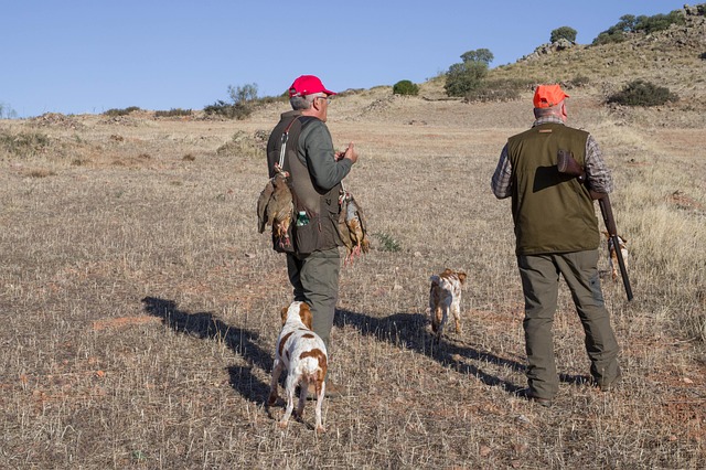 Chasse Chasseur Perdrix Épagneul - Photo gratuite sur Pixabay - Pixabay