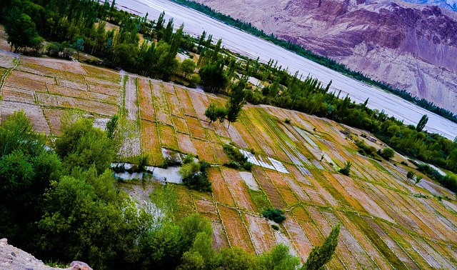 Khaplu Gilgit - Photo gratuite sur Pixabay Khaplu Gilgit - Photo gratuite sur Pixabay