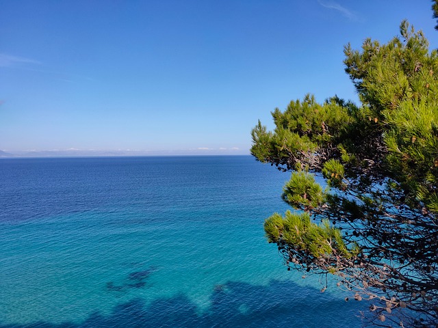 Mar Verde Azul - Foto gratuita no Pixabay - Pixabay