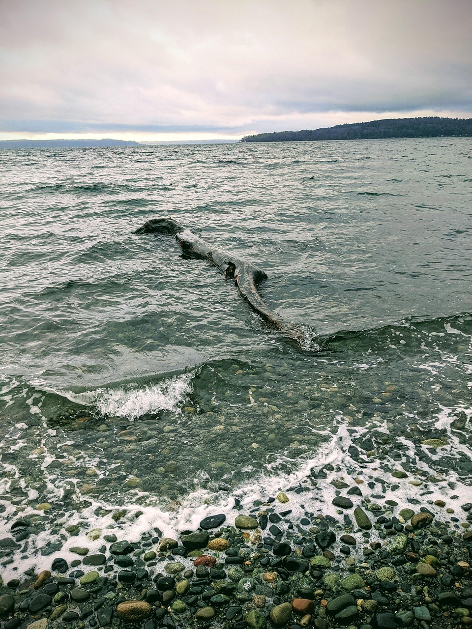 Pantai Kayu Apung Air - Foto gratis di Pixabay - Pixabay