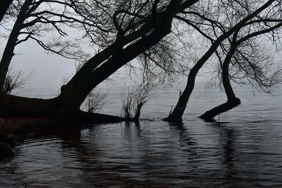 The Fog Hazy Morning In - Free photo on Pixabay