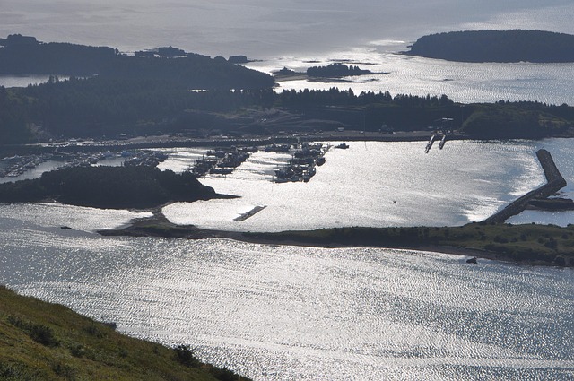 Kodiak Insel Highland Hill Farm - Kostenloses Foto auf Pixabay