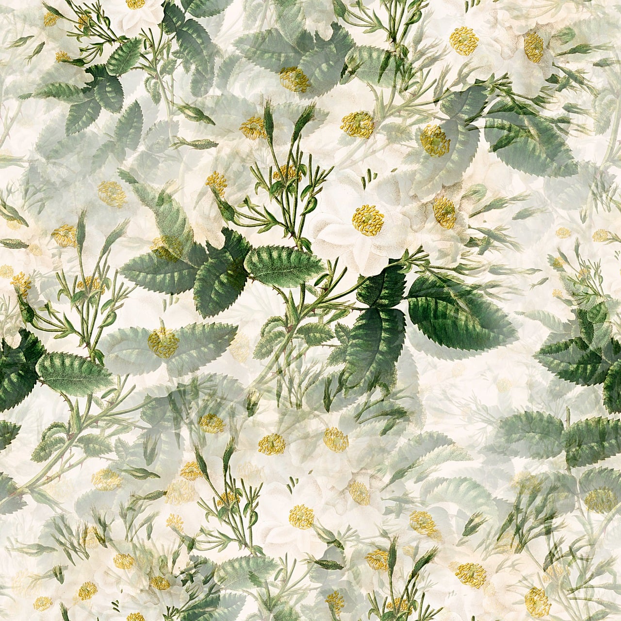 30,000+ Free Botanical & Nature Images - Pixabay