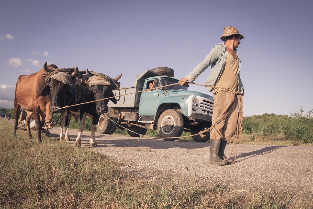 Hombre Humano Persona - Foto gratis en Pixabay - Pixabay