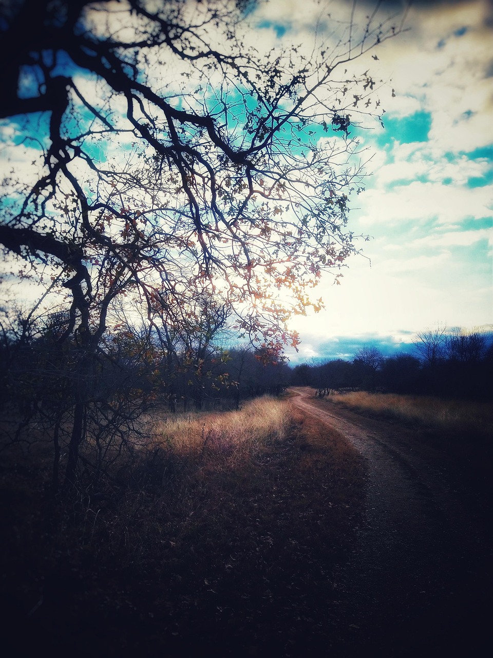 Trail Hiking Hike - Free photo on Pixabay - Pixabay