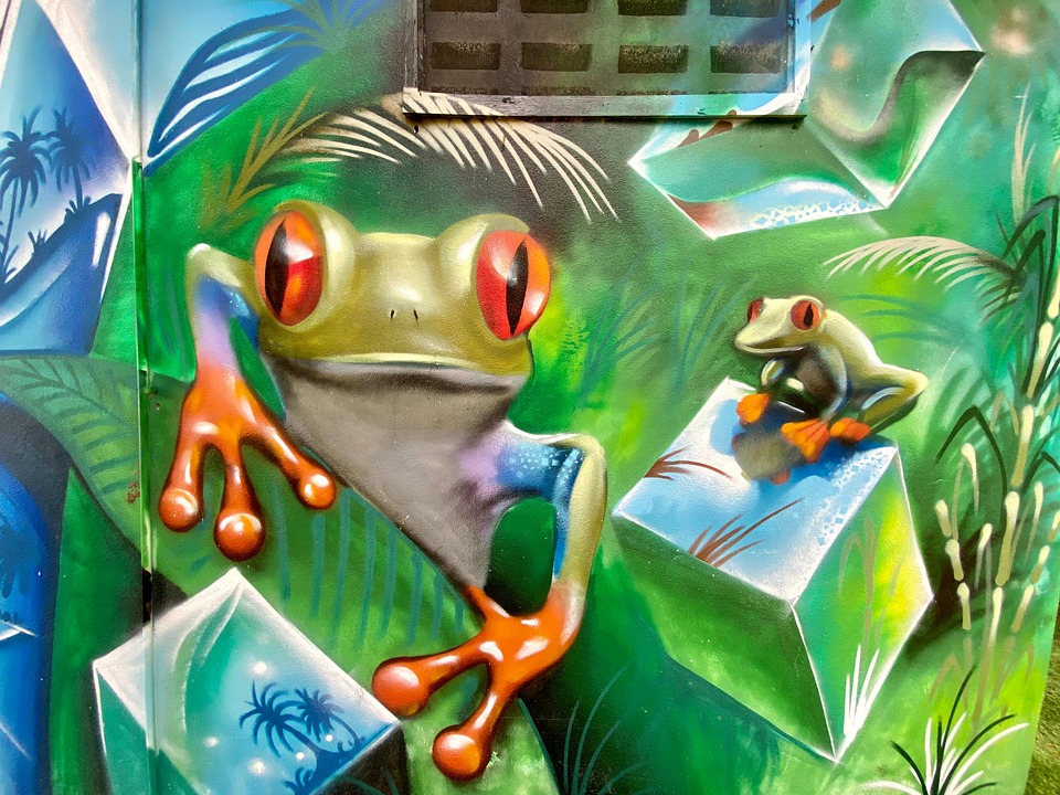 Grafitti Rana Naturaleza - Foto gratis en Pixabay - Pixabay