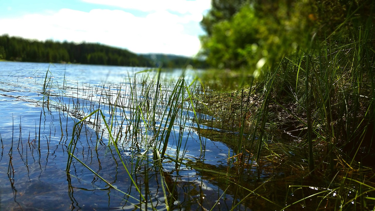 Mccullough Lake Kelowna Bc - Free photo on Pixabay - Pixabay