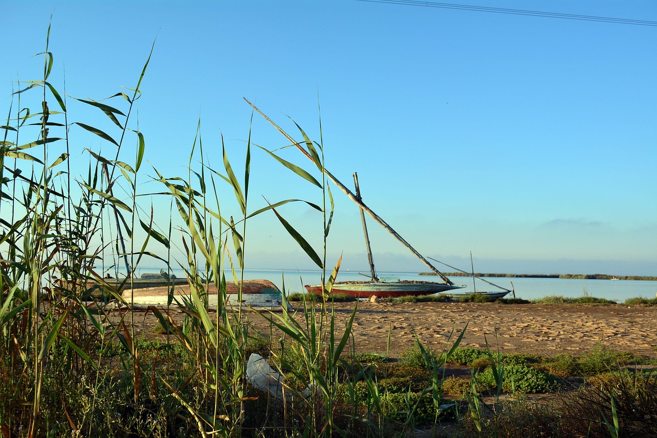 Egypte Lac Brolos Mer - Photo gratuite sur Pixabay - Pixabay