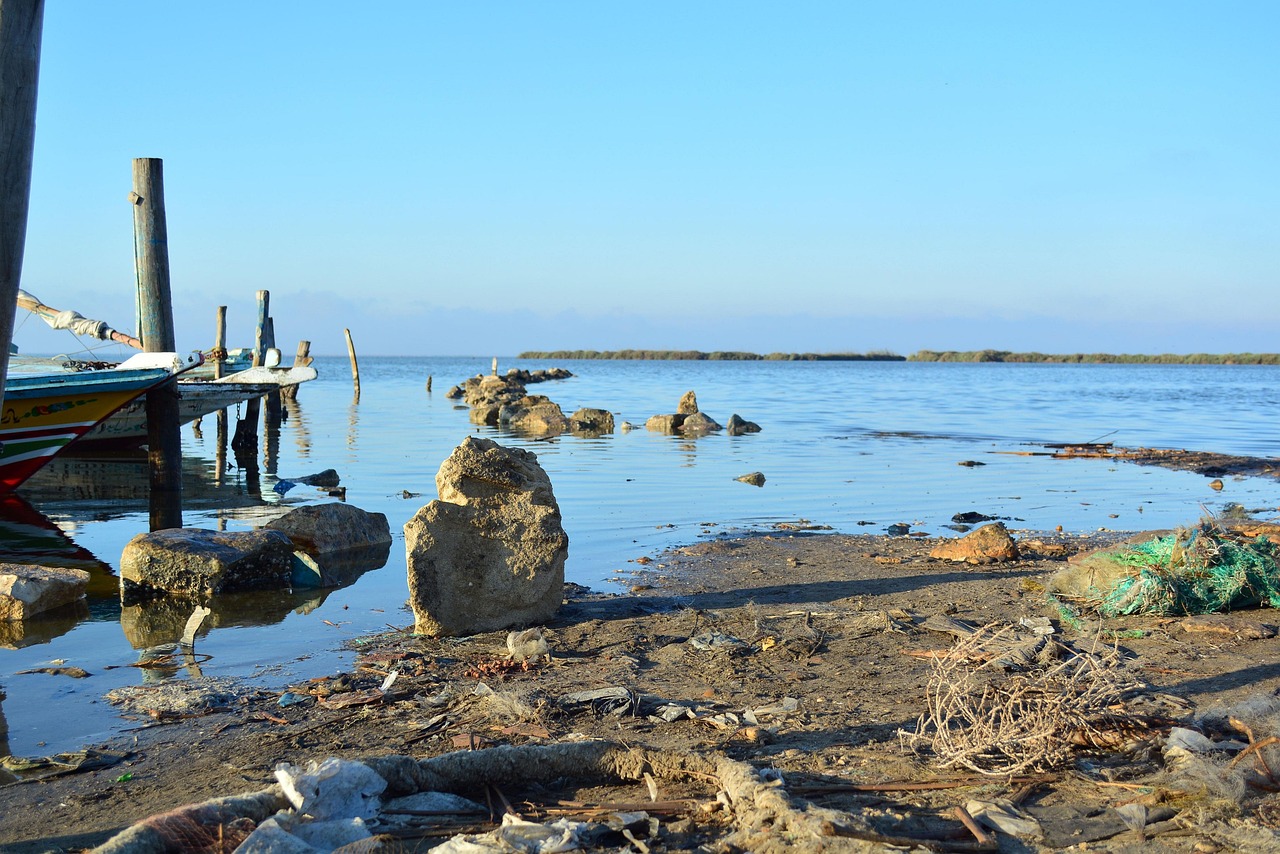 Egypte Lac Brolos Mer - Photo gratuite sur Pixabay - Pixabay