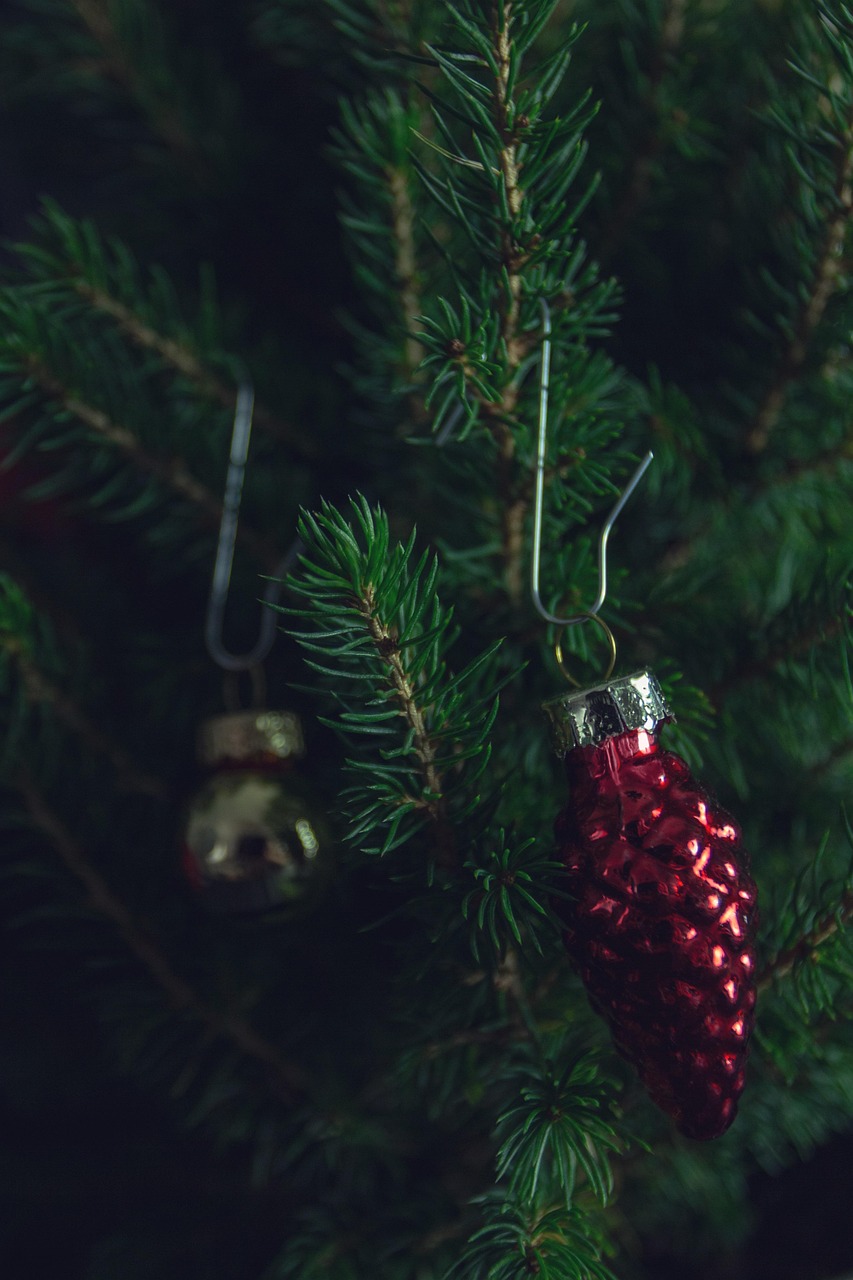 Christmas Balls Bauble - Free photo on Pixabay