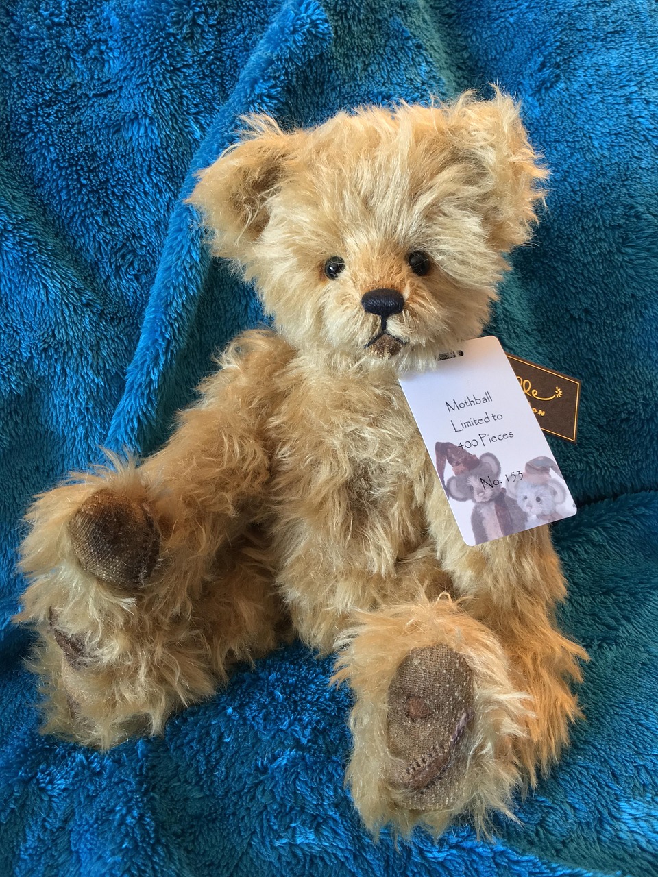 Teddy Bear Bears - Free photo on Pixabay - Pixabay