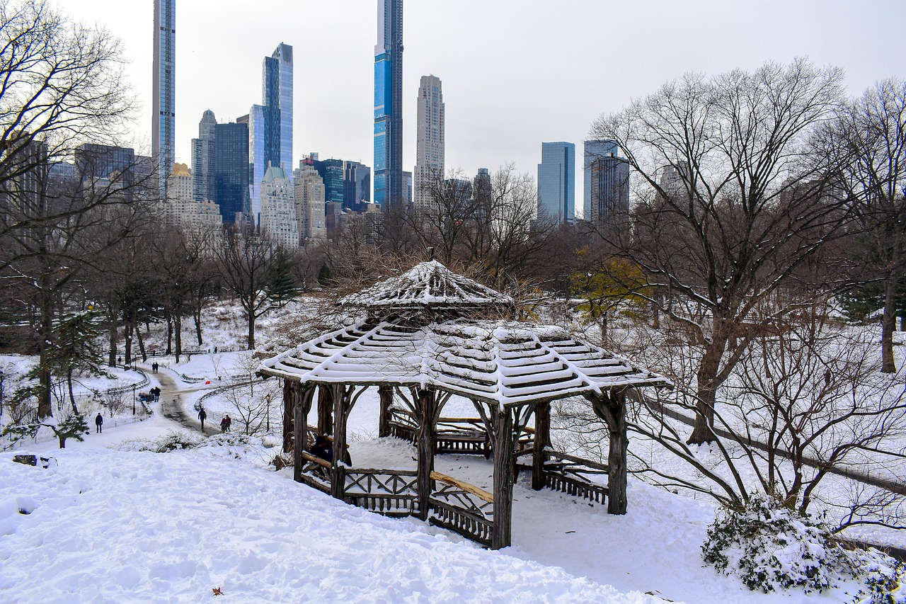 Parc Central New York Neige - Photo gratuite sur Pixabay - Pixabay