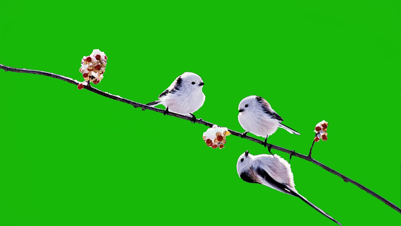 Cute Angel - Free photo on Pixabay - Pixabay