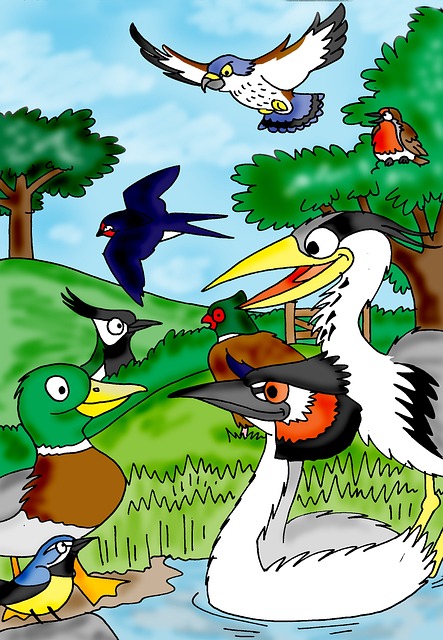 Cartoon Birds Wildlife Cute - Free photo on Pixabay - Pixabay