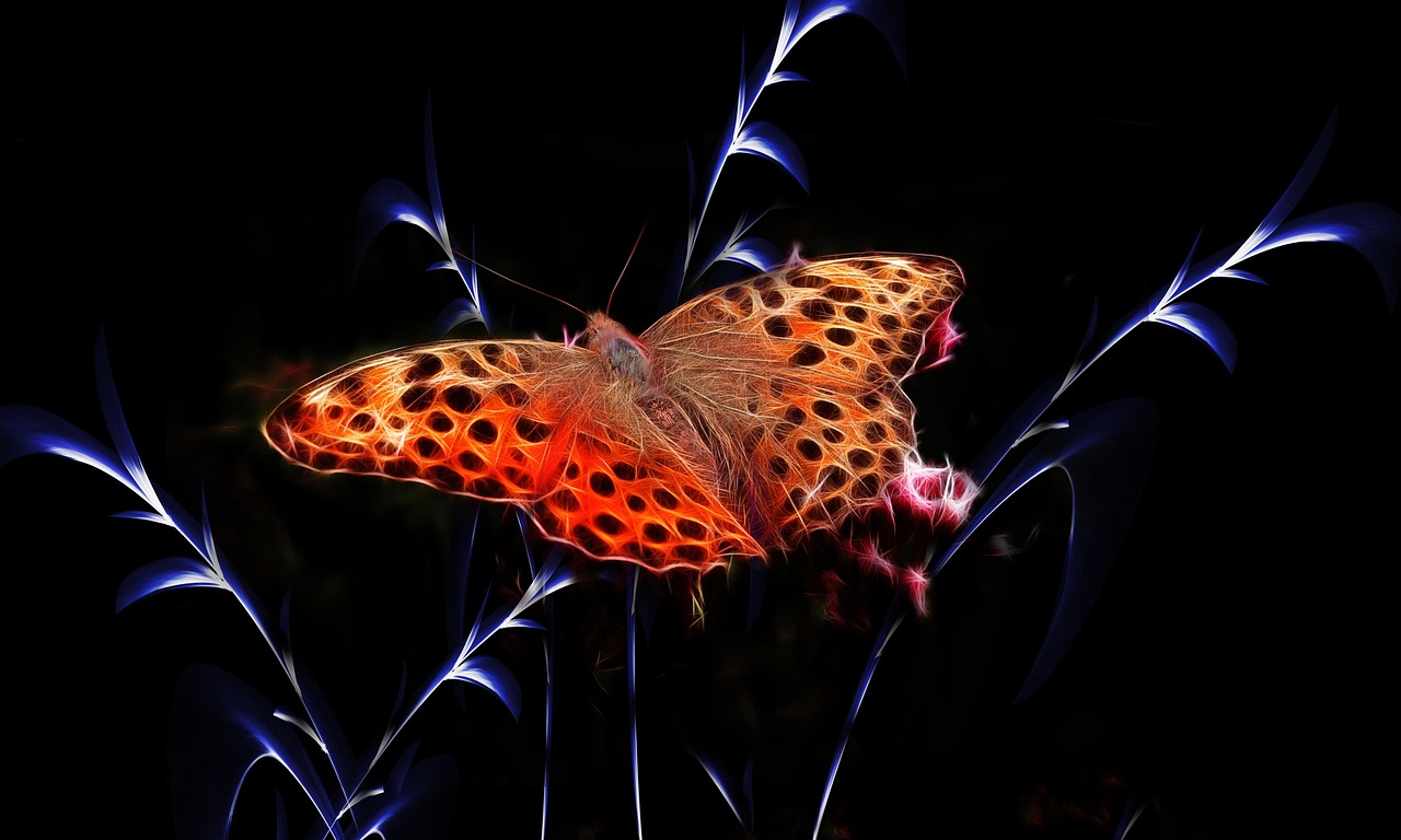 Butterfly Fractalius Nature - Free photo on Pixabay - Pixabay