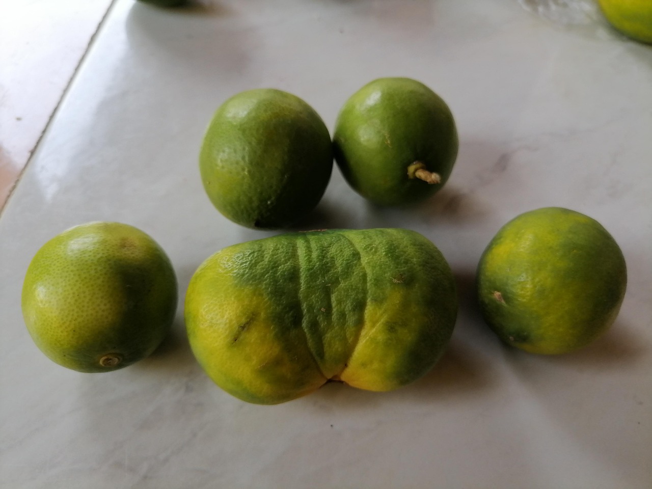 Limones Verdes - Foto gratis en Pixabay - Pixabay