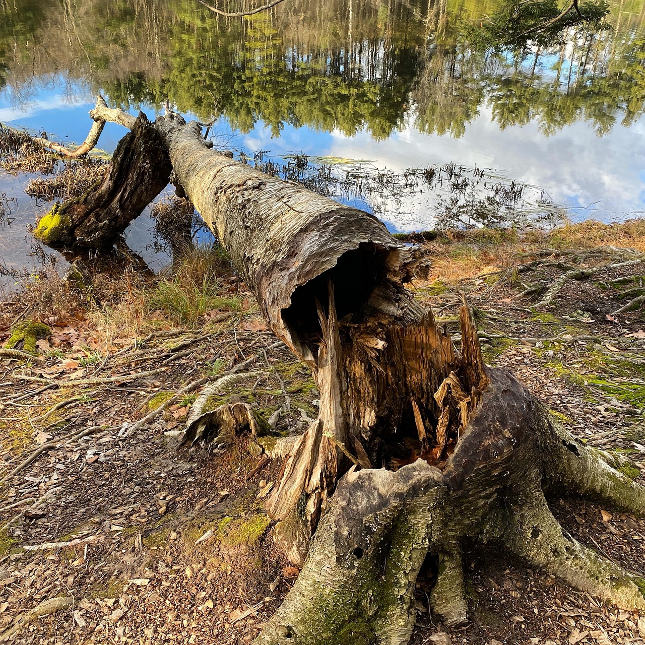 Massachusetts Holyoke Reservorio - Foto gratis en Pixabay - Pixabay