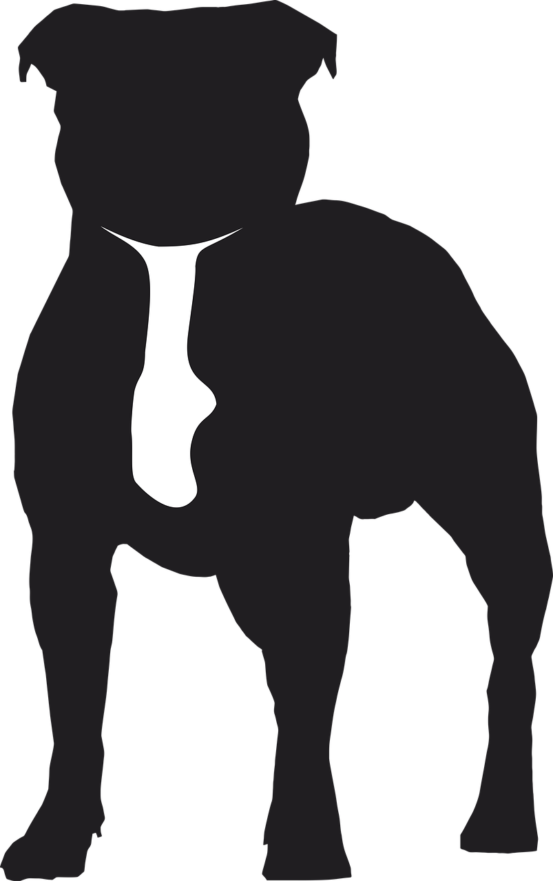 Download Staffordshire Bull Terrier, Staffordshire, Staffordshire ...