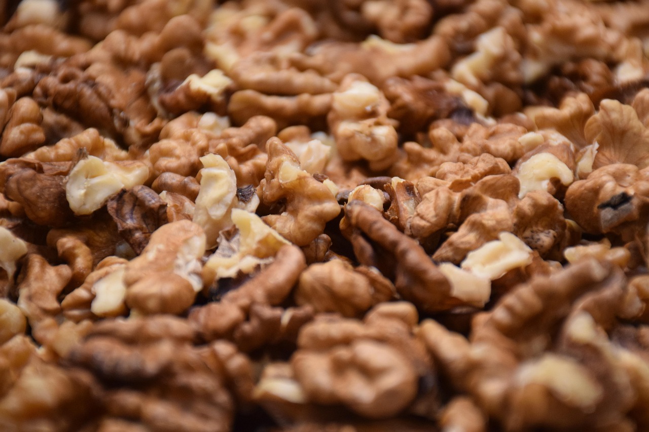 Walnut Nutmeat Nut Meal - Free photo on Pixabay - Pixabay