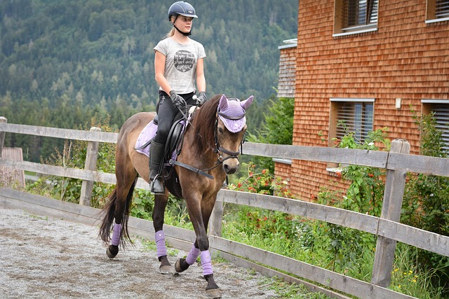 Reiten Reiterin Reiter - Kostenloses Foto auf Pixabay - Pixabay