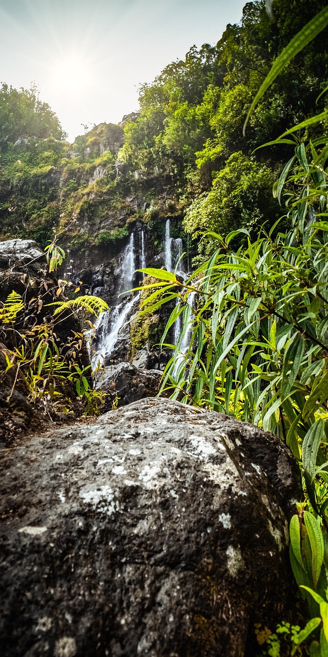 Latar Belakang Layar Dwp Wallpaper - Foto gratis di Pixabay - Pixabay Latar Belakang Layar Dwp Wallpaper - Foto gratis di Pixabay - Pixabay