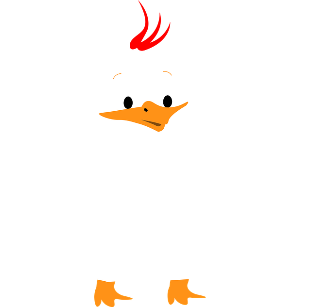 Chicken White Food - Free vector graphic on Pixabay