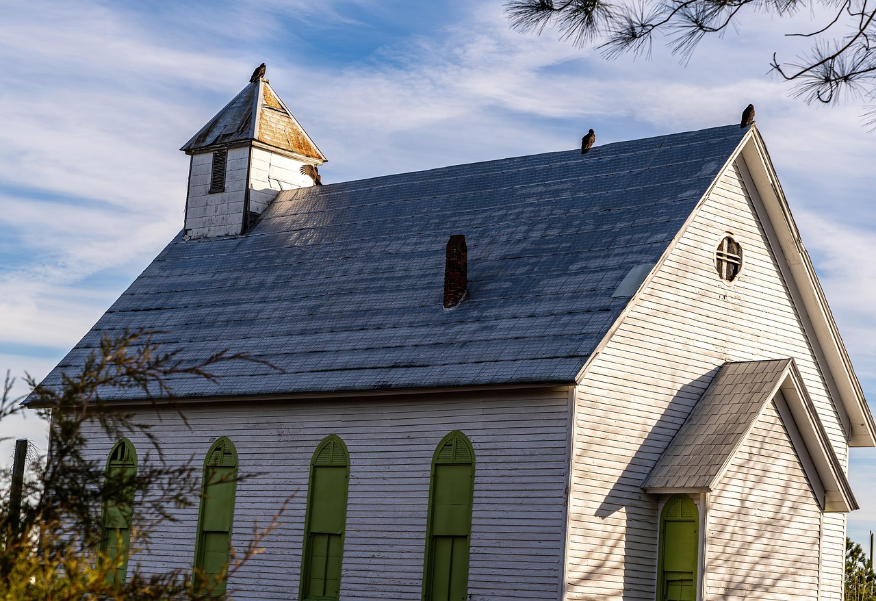 Church Vultures On - Free photo on Pixabay - Pixabay