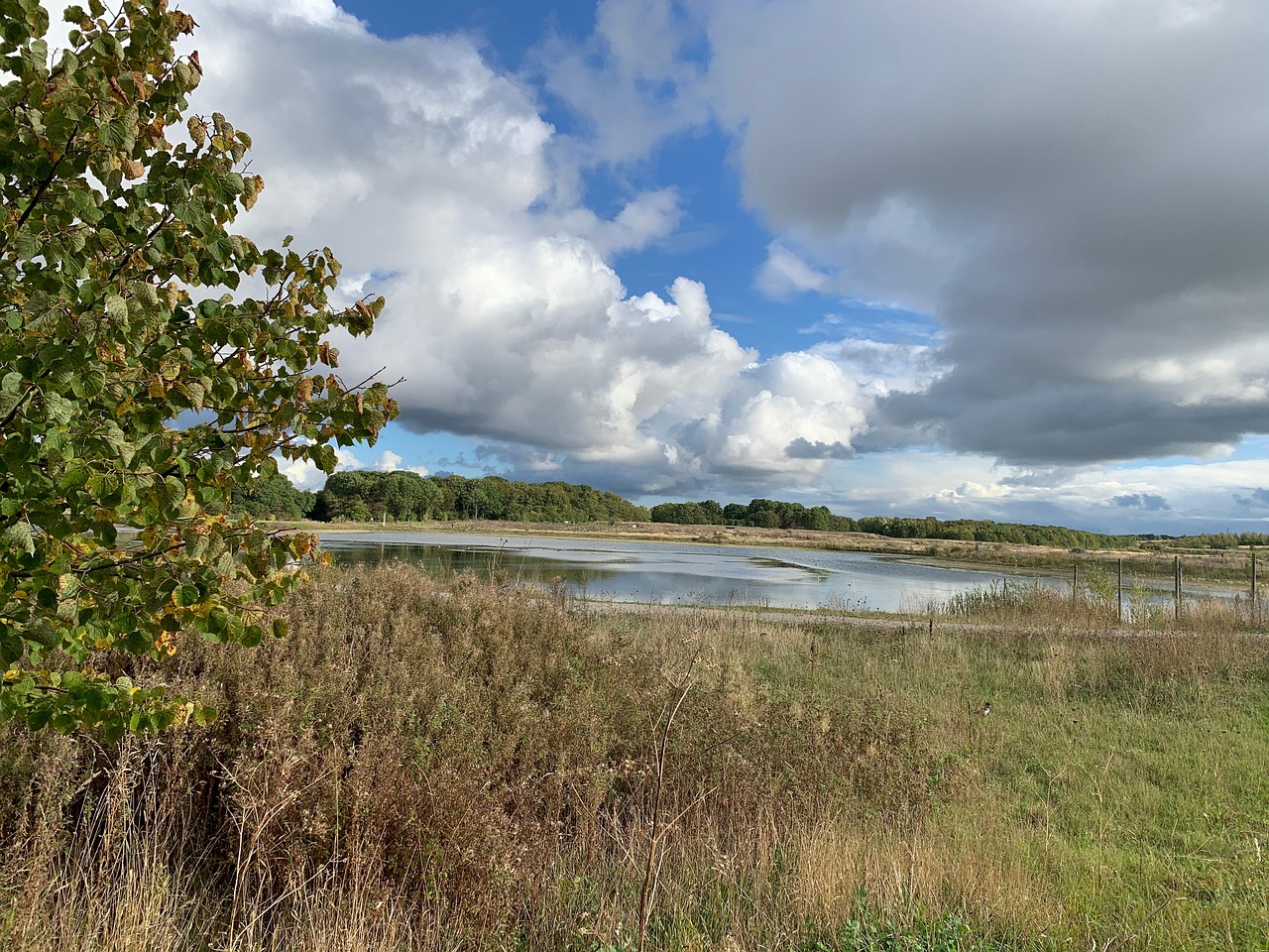 Nature Forêt Malmö - Photo gratuite sur Pixabay - Pixabay