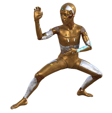 70+ Free Fight Pose & Kung Fu Illustrations - Pixabay