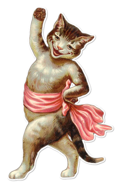 20,000+ Free Cat Dancing & Cat Images - Pixabay