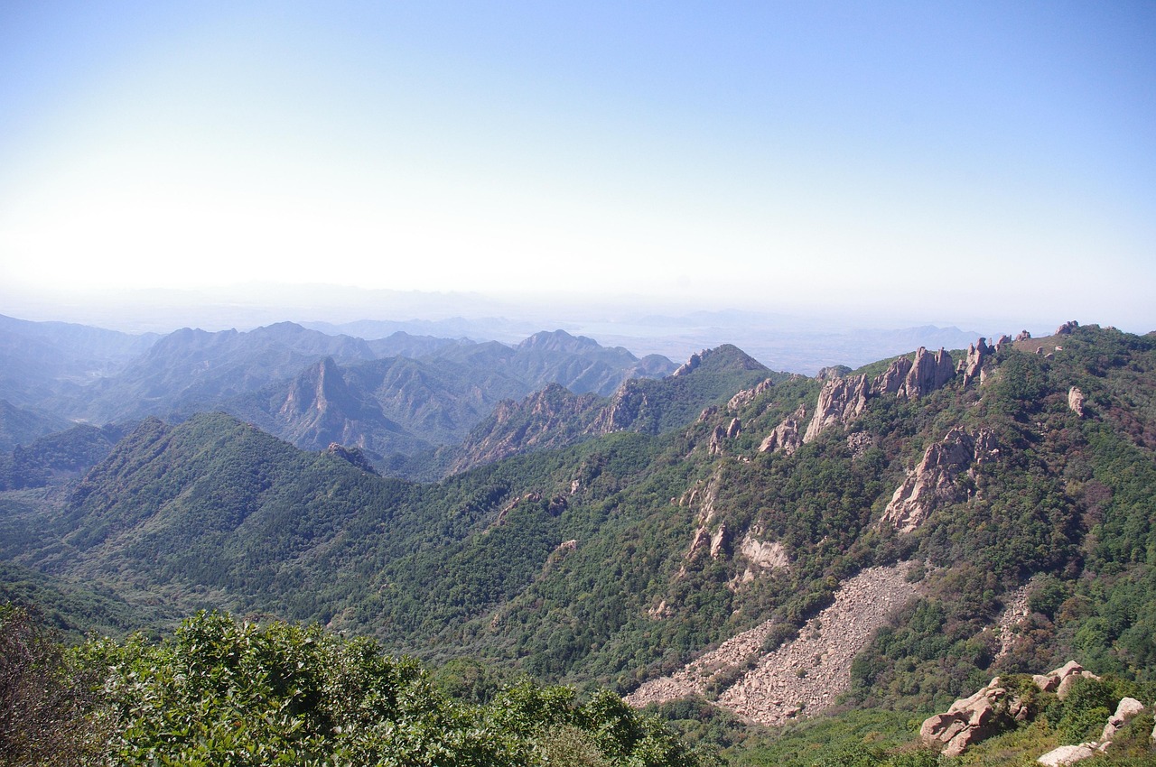 Alpine Vegetation Qinhuangdao - Free photo on Pixabay - Pixabay