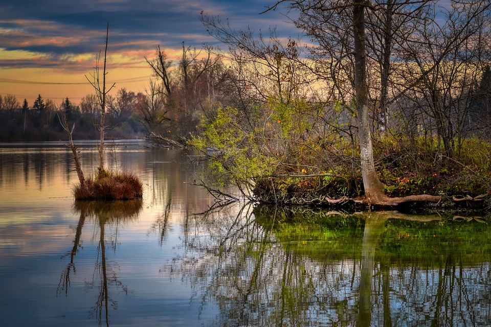 Lake Bank Reflection - Free photo on Pixabay - Pixabay