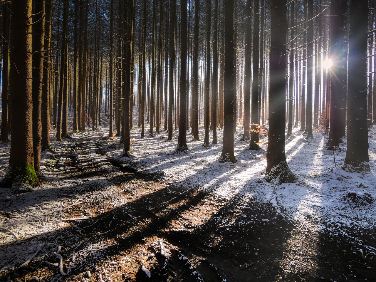 Winter Snow Landscape - Free photo on Pixabay - Pixabay