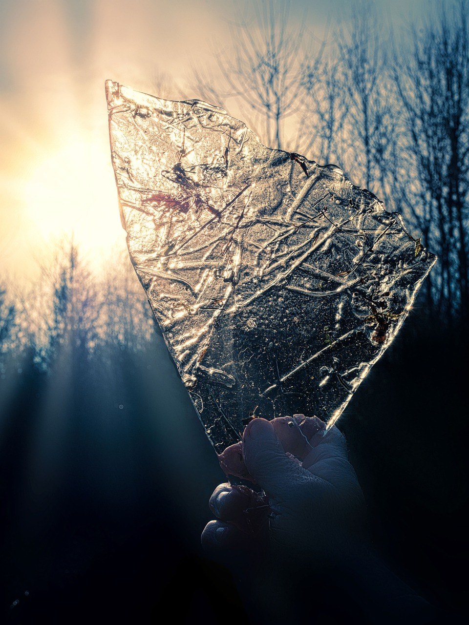 Ice Frost Frozen - Free photo on Pixabay